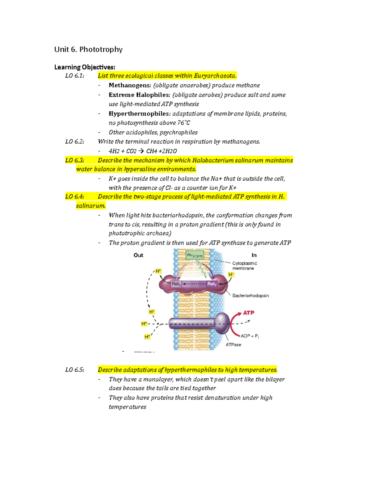 Unit 6. Phototrophy - Unit 6. Phototrophy Learning Objectives: LO 6 ...