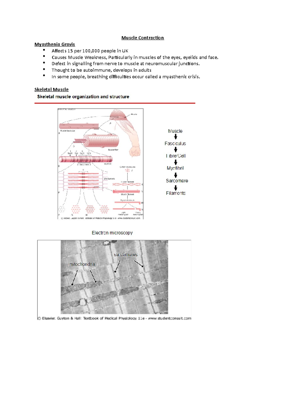 Muscle Contraction - Lecture notes 48 - MED-MB-S - QUB - Studocu
