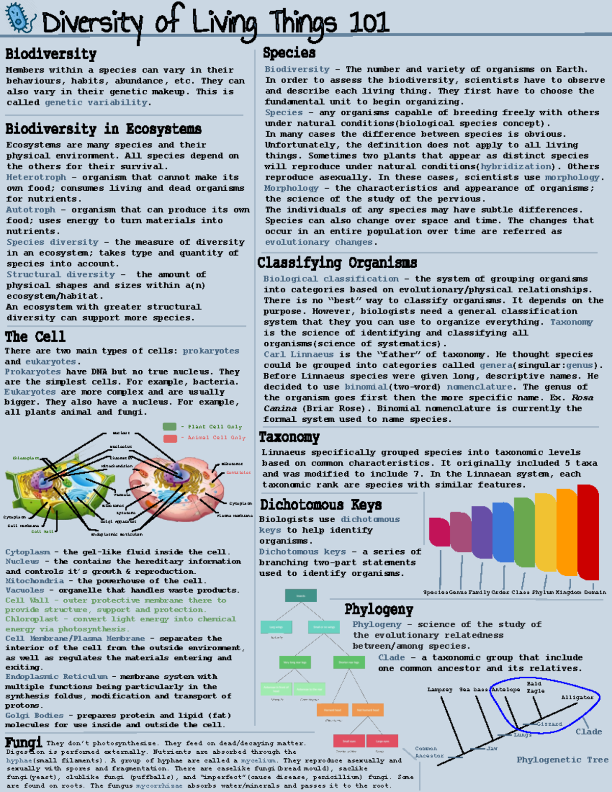 Diversity of Living Things 101 - Biodiversity - The number and variety ...