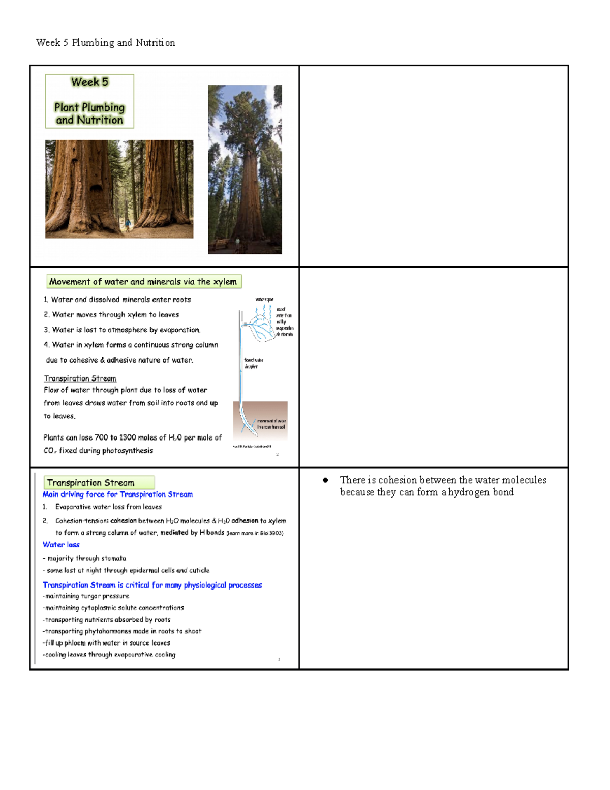 Bio 2D03 Notes 2 - bio 2D03 - Week 5 Plumbing and Nutrition There is ...