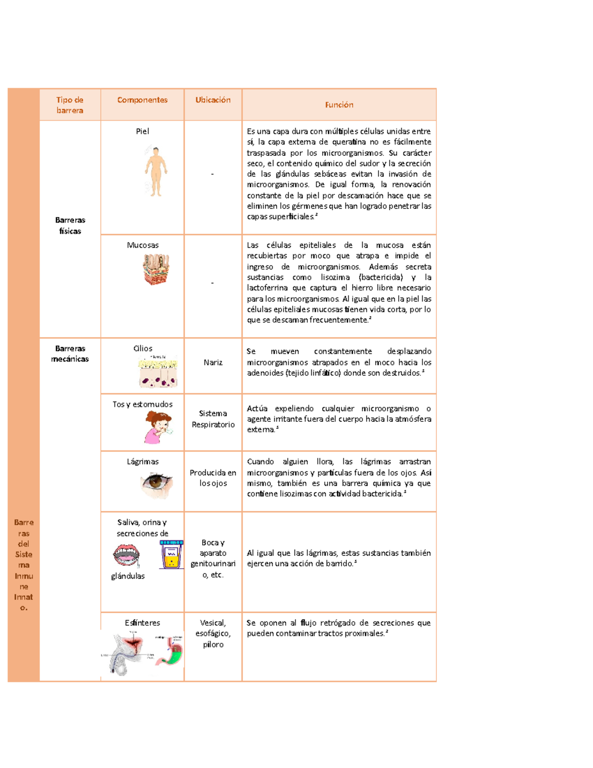 Barreras mecánicas y fisicoquímicas de defensa innata - Tipo de barrera ...