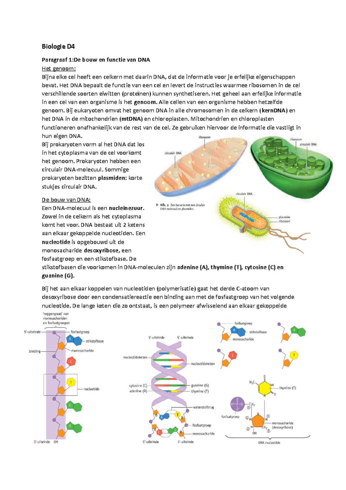 Biologie klas 5 DNA (Biologie voor jou) - Biologie D Paragraaf 1:De ...