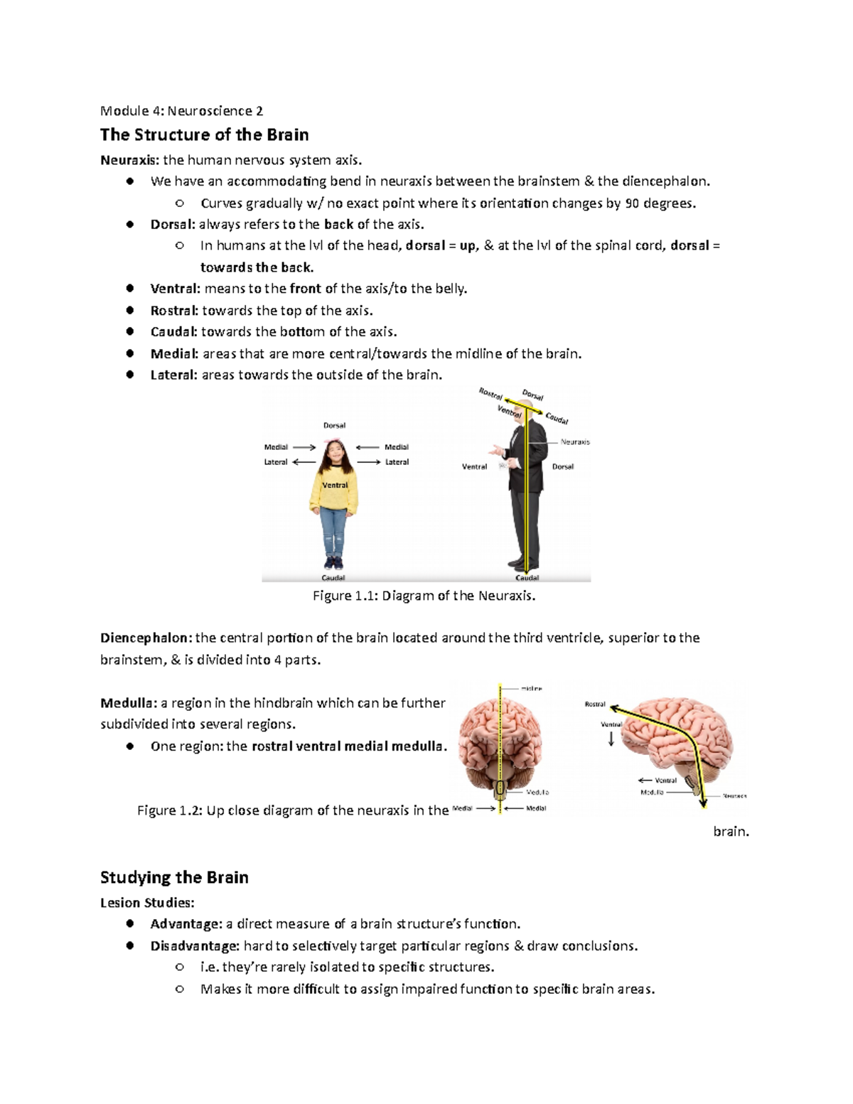 Module 4 Neuroscience 2 - Module 4: Neuroscience 2 The Structure of the ...