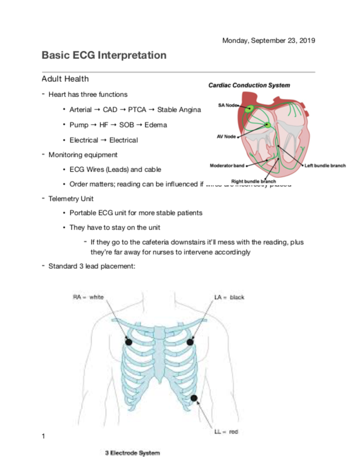 ECG - Adult Notes - ECG - DEP 2004 - Studocu