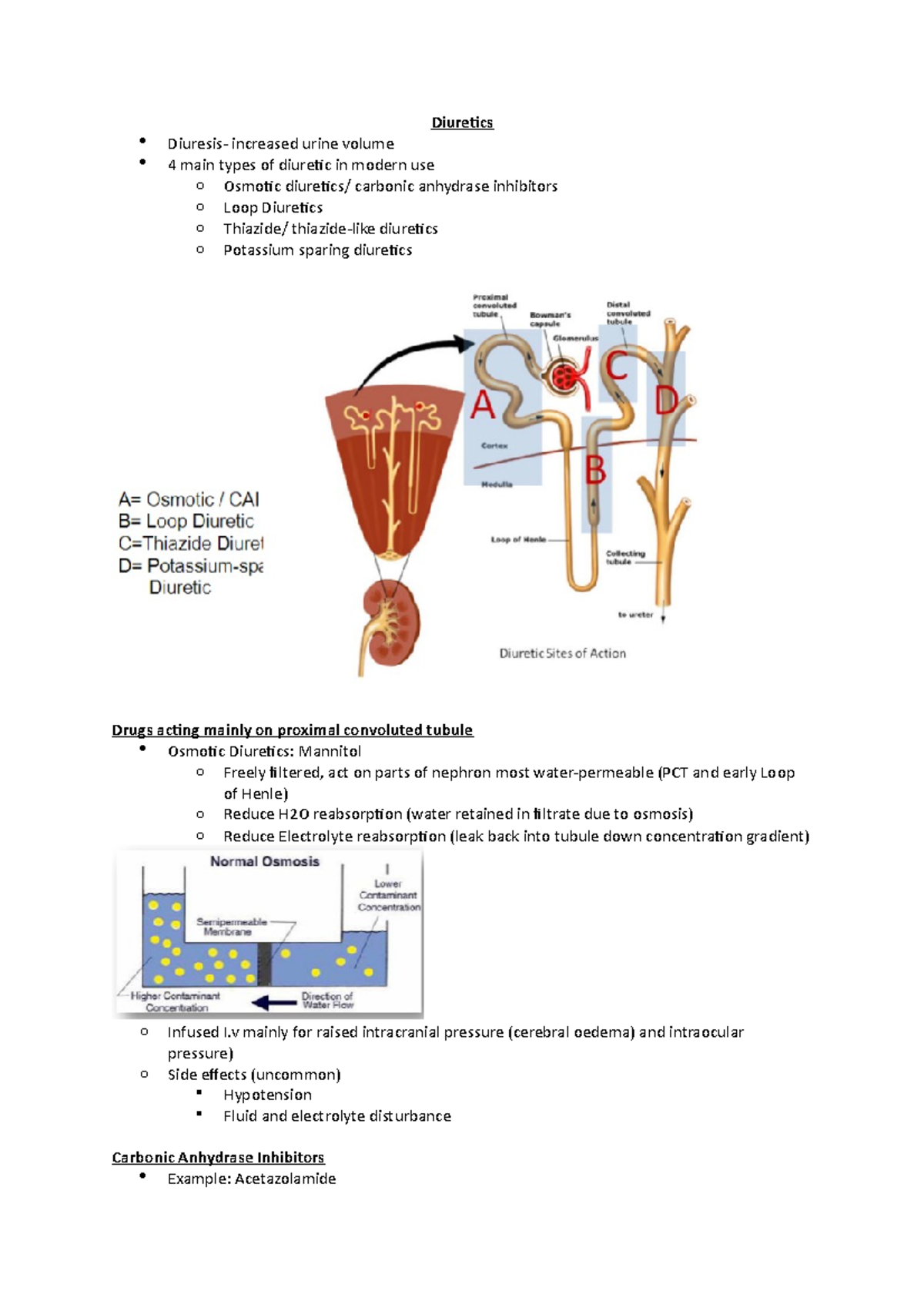 Diuretics - Lecture notes 40 - Diuretics Diuresis- increased urine ...