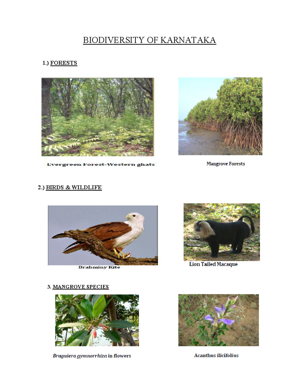 Biodiversity OF Karnataka - Environmental Systems and Societies SL ...