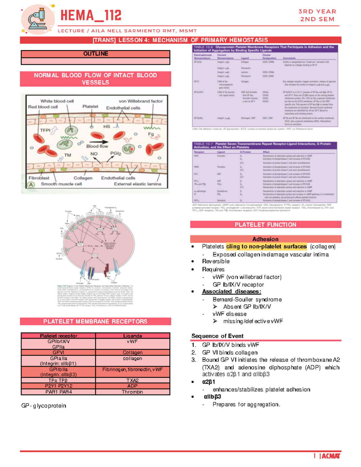 HEMA LEC Lesson 4 Mechanism OF Primary Hemostasis - [TRANS] LESSON 4 ...