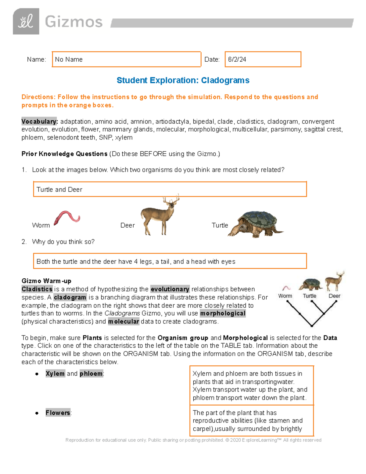 Cladograms SE - Name: No Name Date: 6/2/ Student Exploration ...