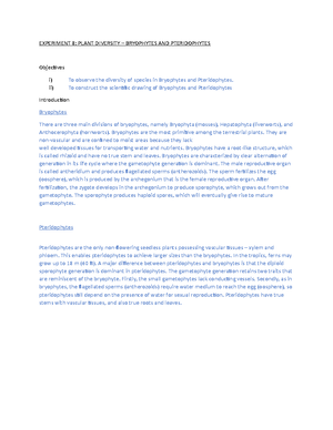 EXP.5 Inheritance Lab Report - BIOLOGY 1 (SB015) LAB REPORT EXPERIMENT 5: INHERITANCE ITEM ...