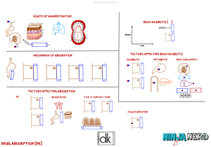 07 [Illustrations - Key] atf - Human Biology - AfraTafreeh - Studocu