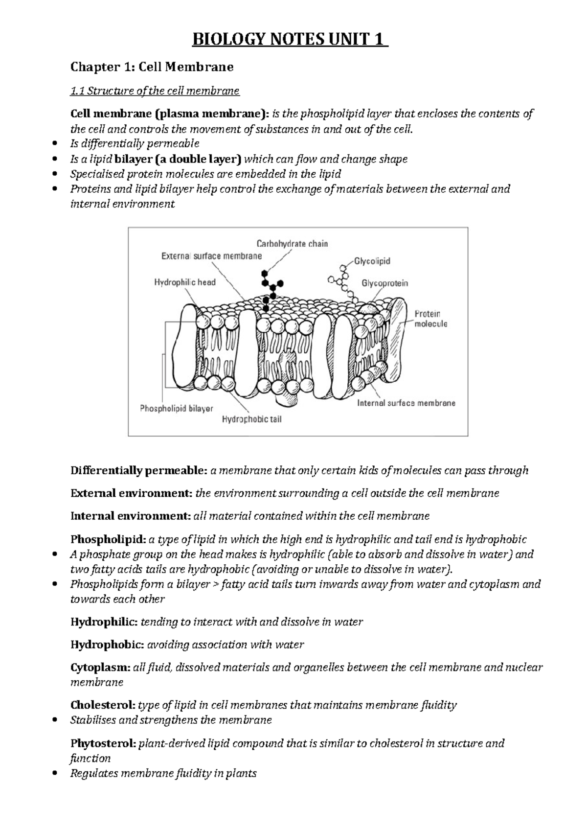 Biology Notes UNIT 1&2 - A&P - BIOLOGY NOTES UNIT 1 Chapter 1: Cell ...