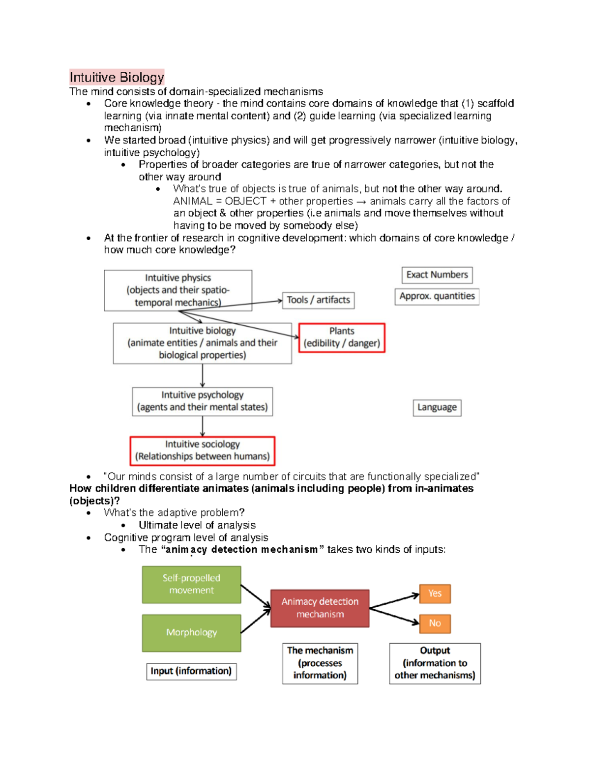 Psy 105 - 6. Intuitive Biology - Warning: TT: undefined function: 32 ...