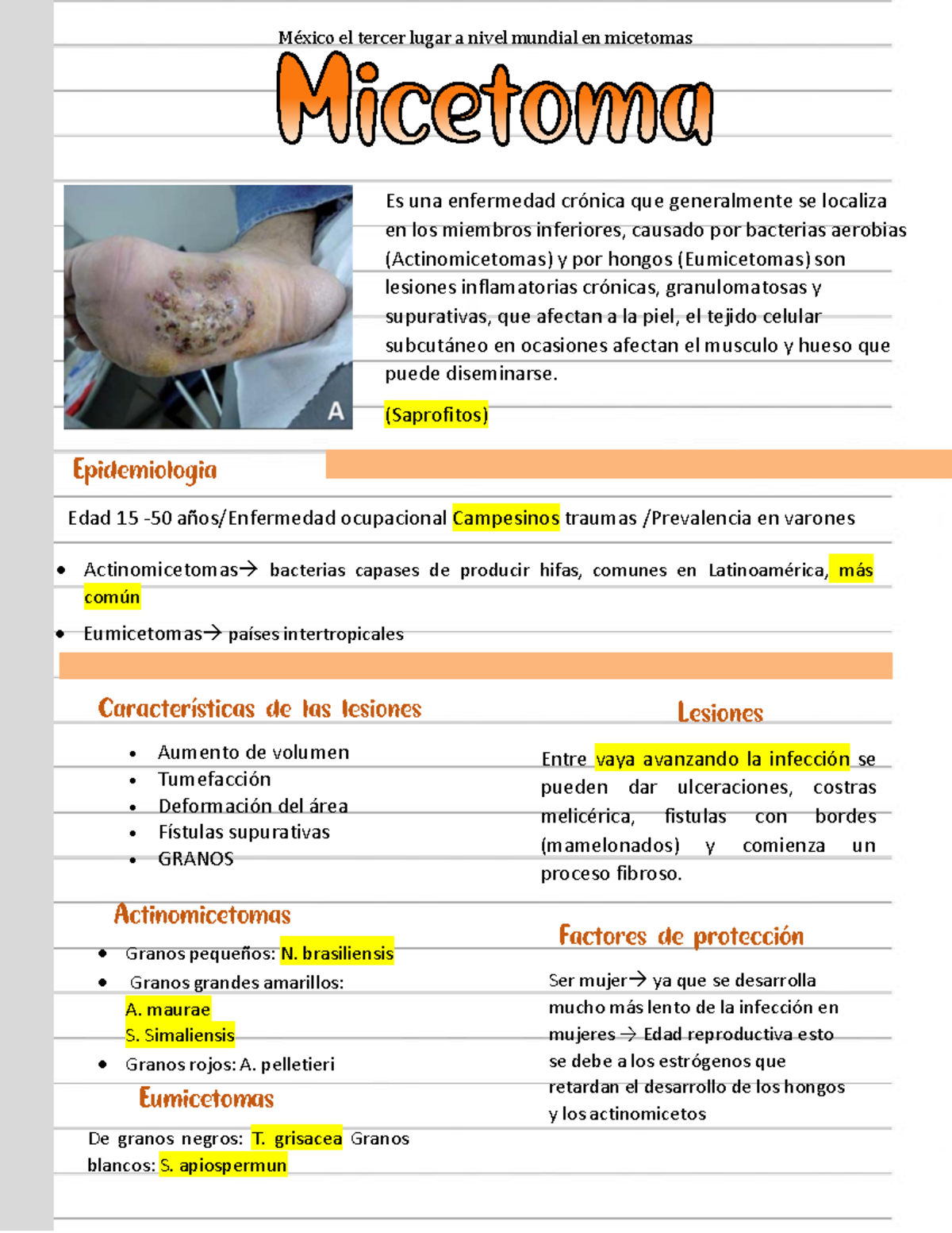 Micetoma - Es una enfermedad crónica que generalmente se localiza en ...