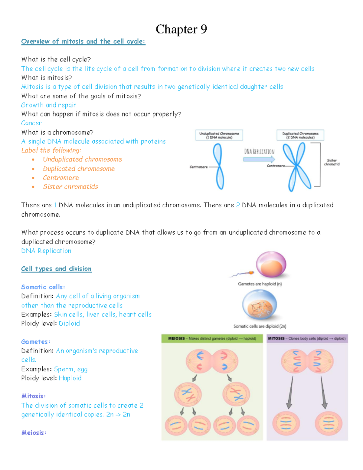 Chapter 9 Notetaker Finished - Chapter 9 Overview of mitosis and the ...