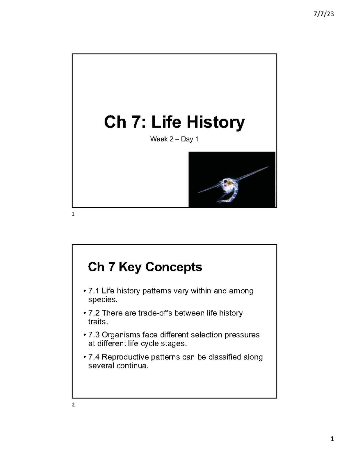 Lecture 6 - Ch 7: Life History Week 2 – Day 1 1 Ch 7 Key Concepts • 7 Life history patterns vary ...