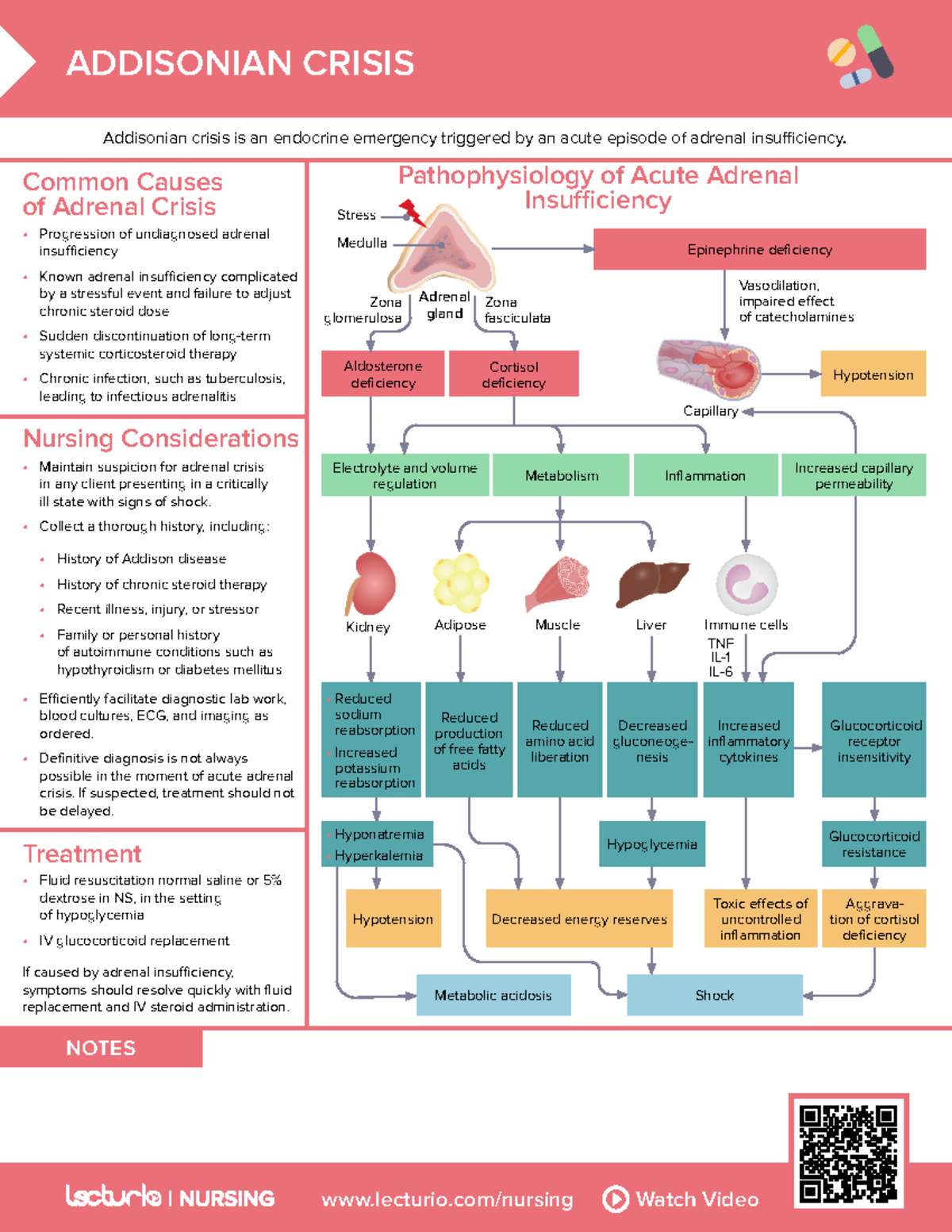 Addisonian-Crisis 04-1 - lecturio/nursing Watch Video NOTES ADDISONIAN ...