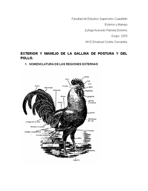 Enfermedad Dilatación Proventriculo 2016 - Enfermedad de la dilatación ...