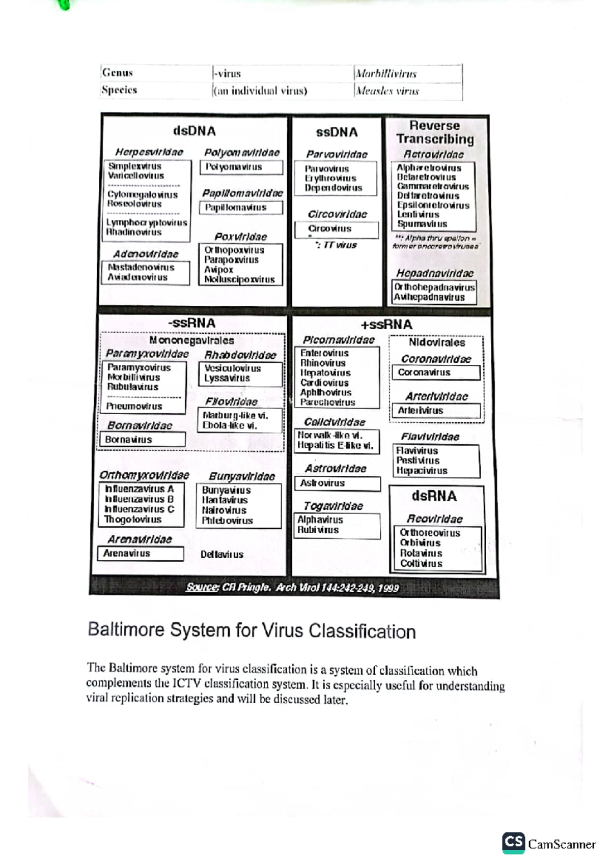 Viral classification - Genetics and Molecular Biology - CamScanner ...