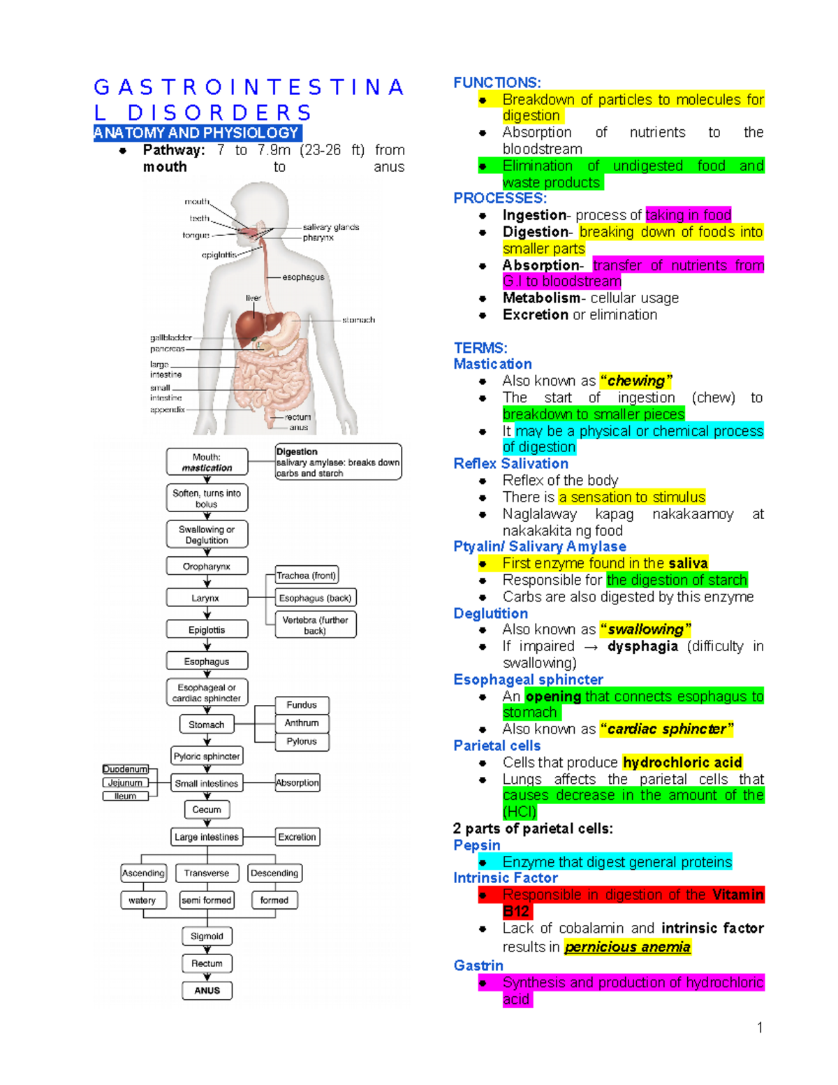 Lecture 1- Gastrointestinal - G A S T R O I N T E S T I N A L D I S O R ...
