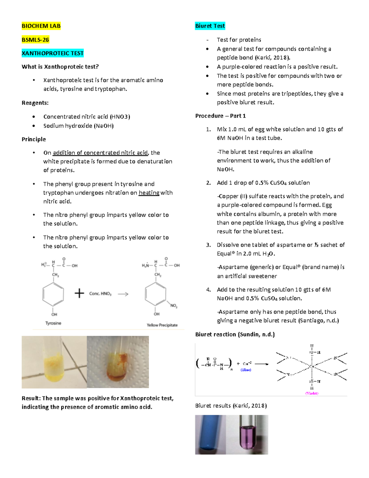 Biochem Lab Lab Notes Warning Tt Undefined Function 32 Warning Tt Undefined Function