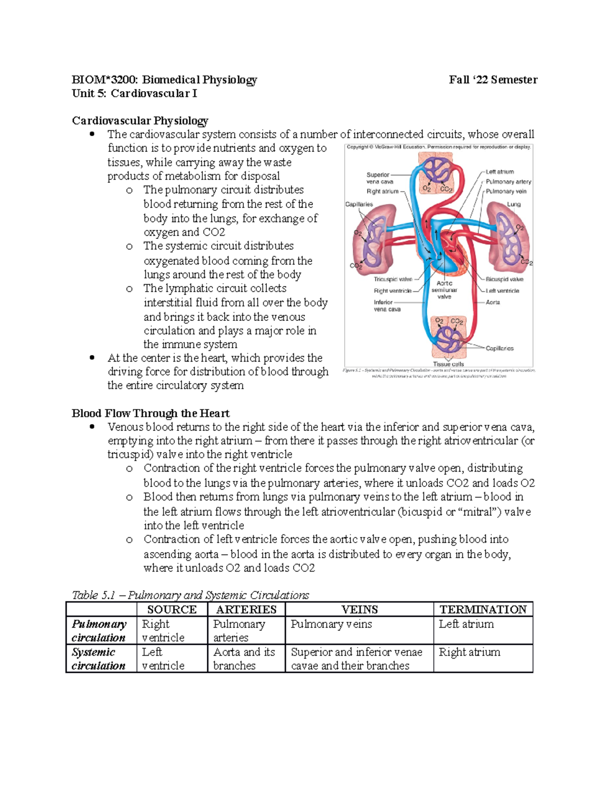 Unit 5 Notes Maarse - BIOM*3200: Biomedical Physiology Fall ‘22 ...