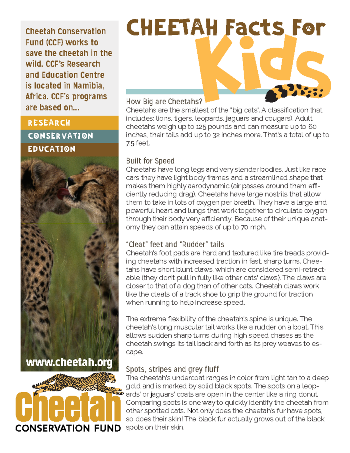 Cheetahs - Hope this helps - Cheetah Conservation Fund (CCF) works to ...