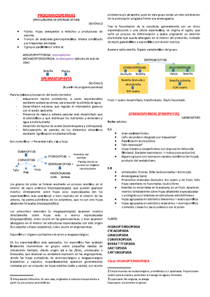 Surviving-Sepsis-Guideline-Infographic-Spanish-Translations (1) - Guía ...