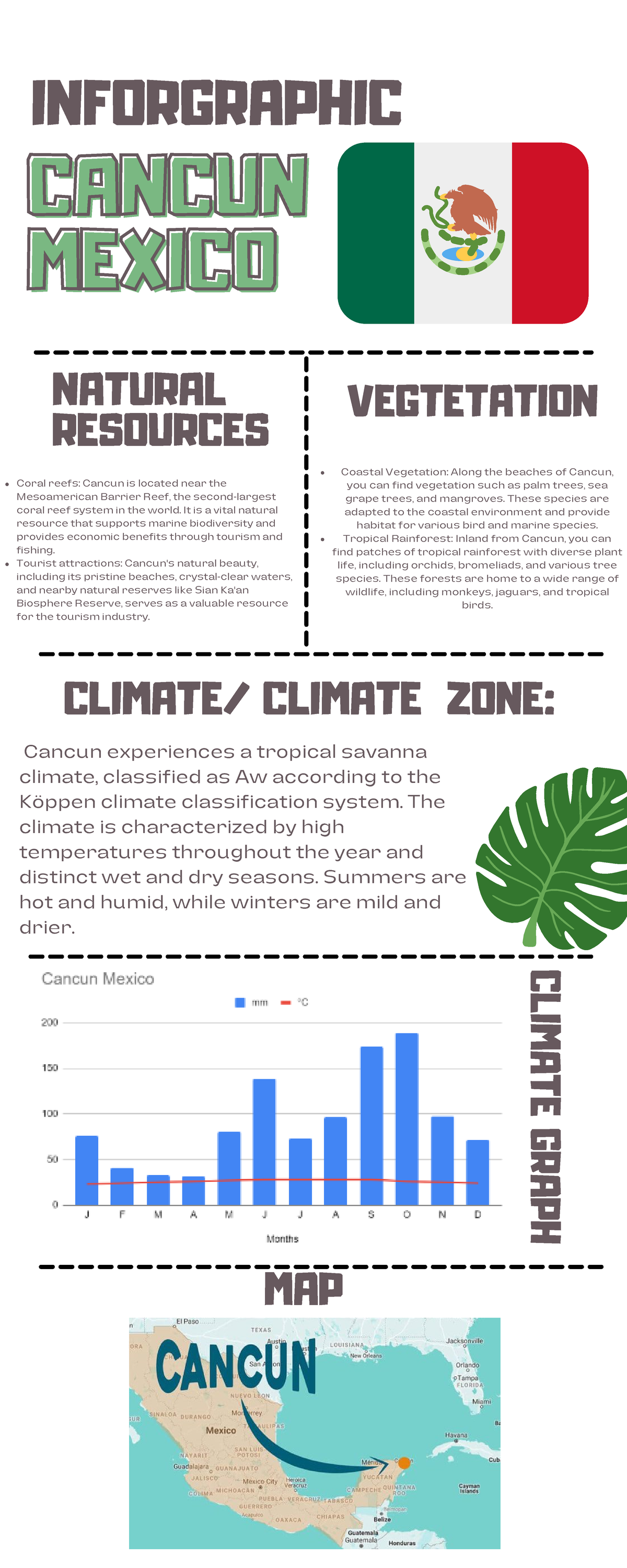Green & Brown Monstera Plant Fun Facts Infographic - Cancun experiences ...