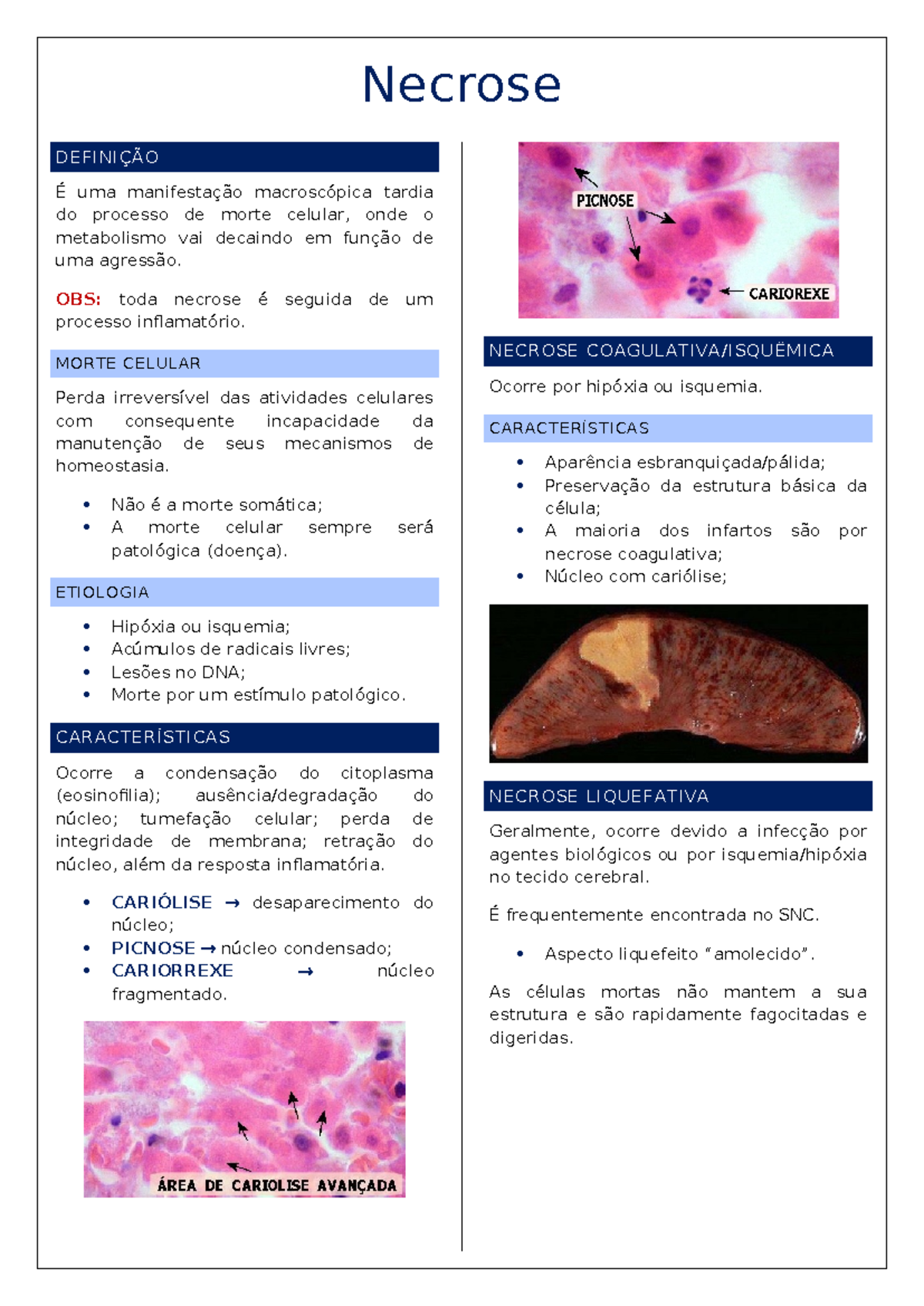 (4) Necrosefghfghfghfghf - Necrose DEFINIÇÃO É uma manifestação ...
