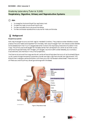 BIO10004 Anatomy Practicals 2022 Sem 1 - Anatomy Practical Manual ...