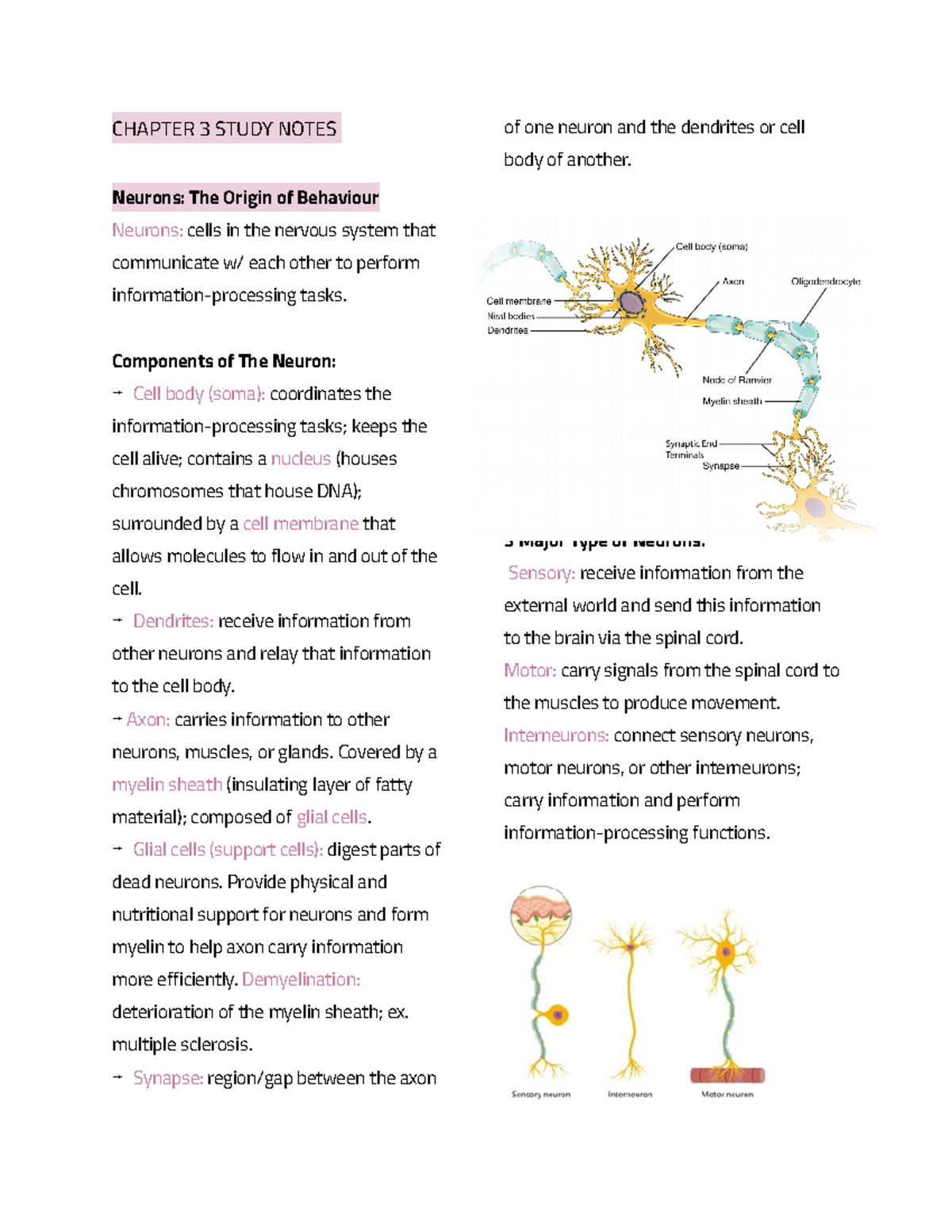 Chapter 3 Study Notes - CHAPTER 3 STUDY NOTES Neurons: The Origin of ...