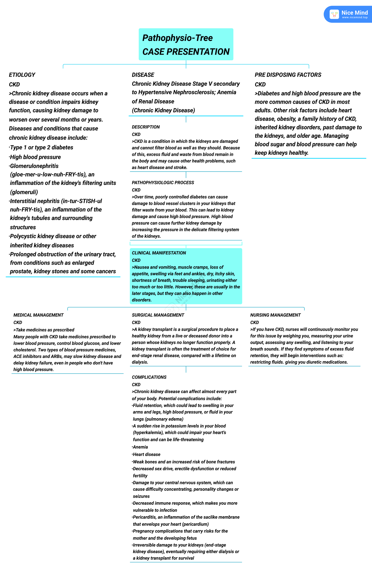 CKD - STUDOCU - Pathophysio-Tree CASE PRESENTATION ETIOLOGY CKD ...