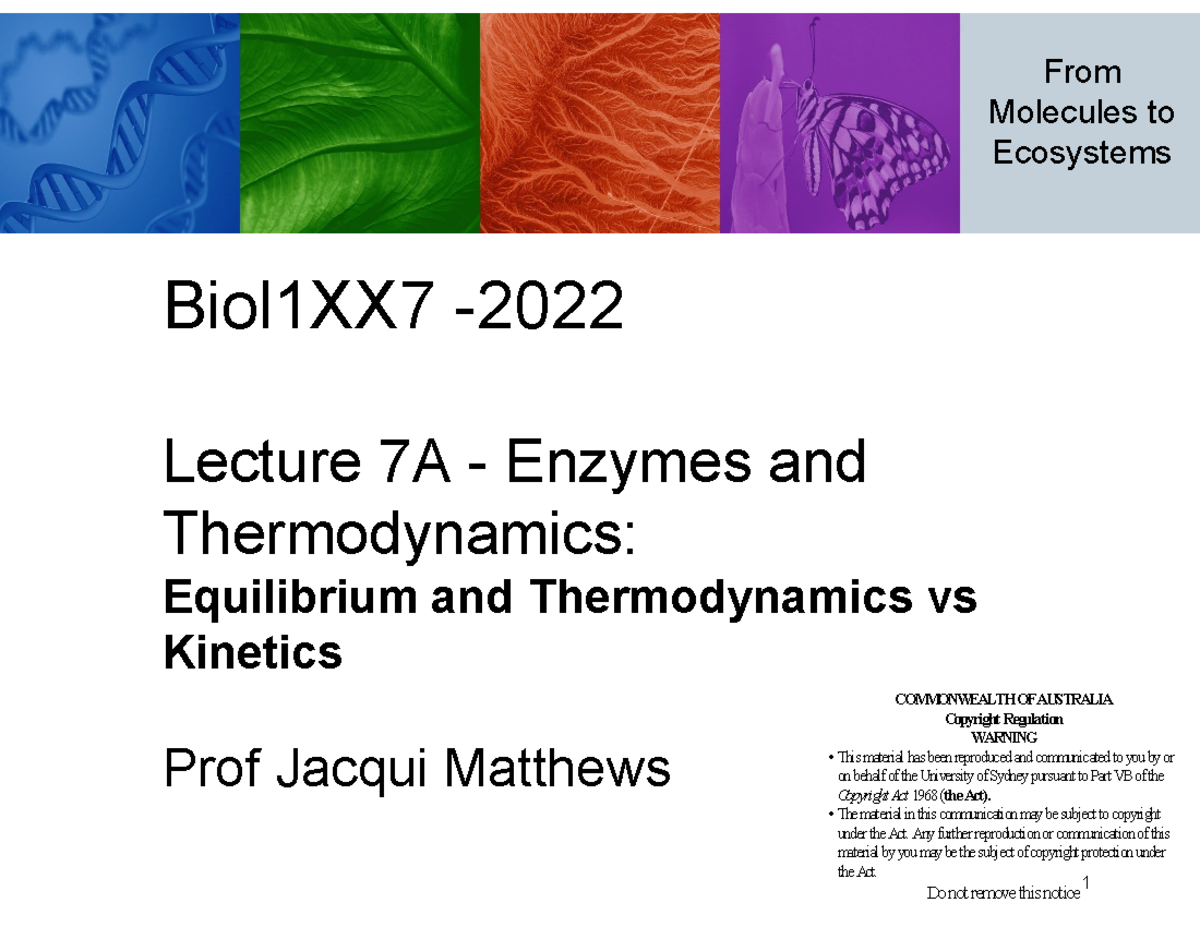 L7A - Enzymes and Thermodynamics- Equilibrium and Thermodynamics vs ...