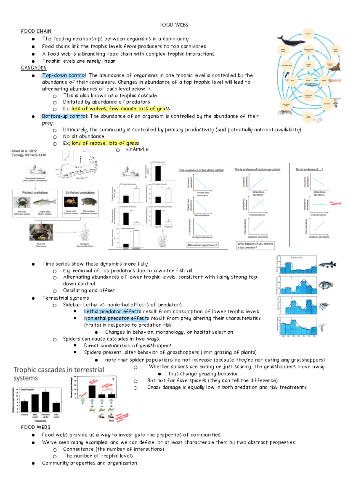 Exam Notes - Lecture 18 - FOOD WEBS FOOD CHAIN The feeding ...