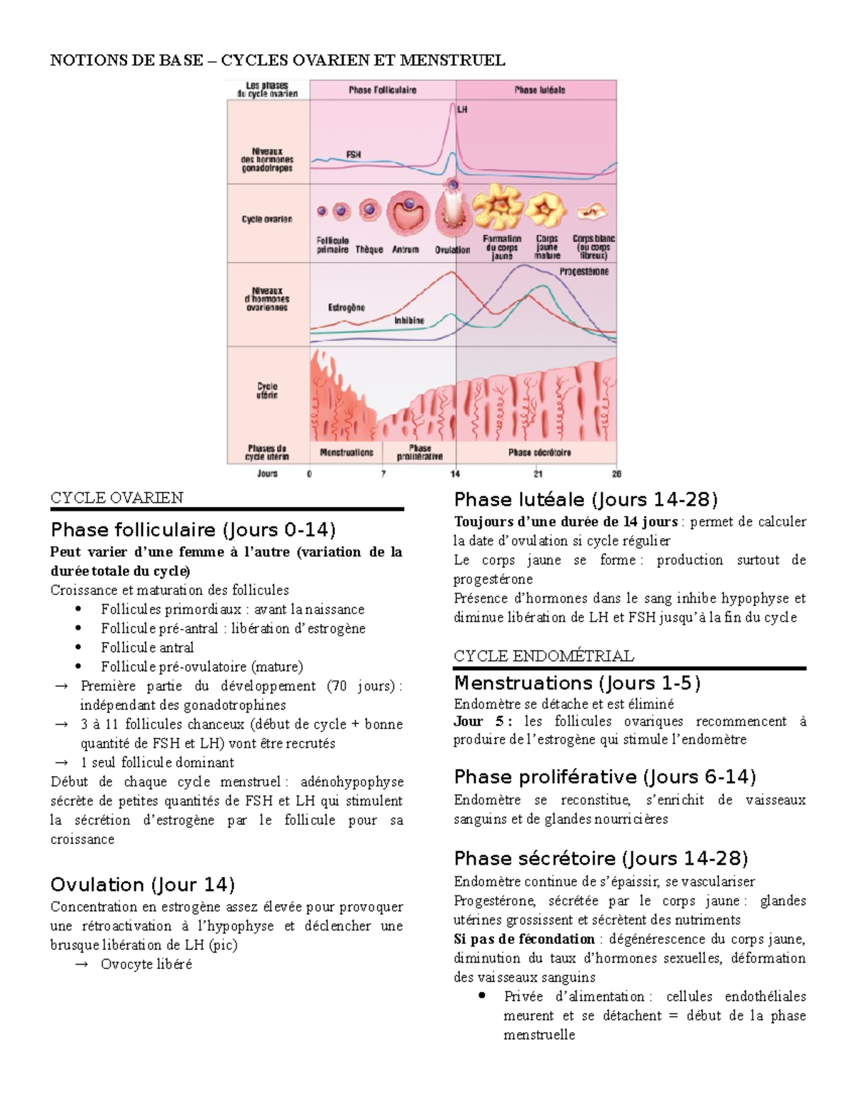 Notions De Base Cycle Ovarien Notions De Base Cycles Ovarien Et Menstruel Cycle Ovarien