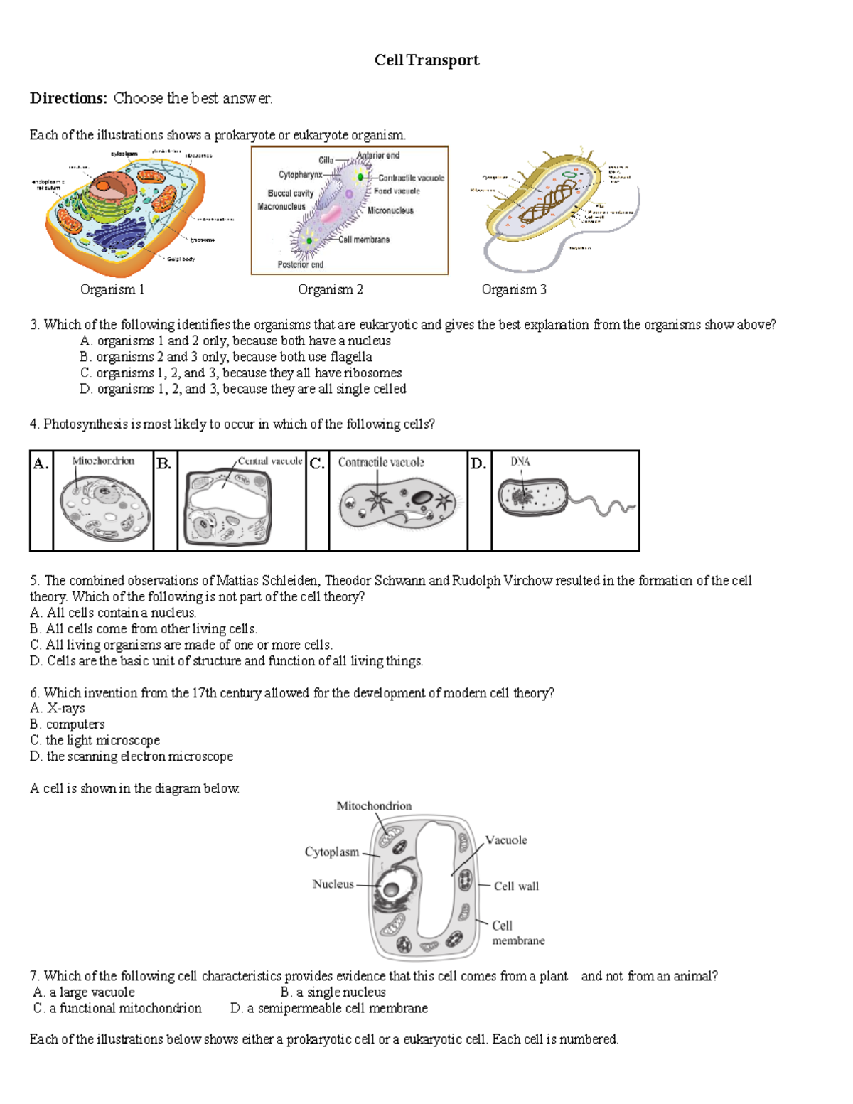 Study Guide on Cell Transport and Plant Structure - Cell Transport ...