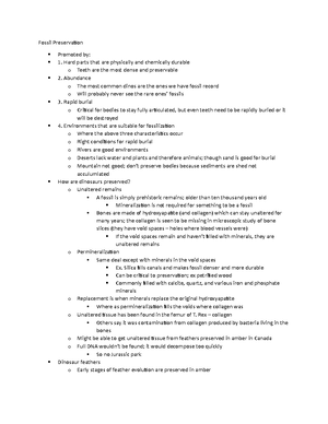 Dinosaurs Exam 2 Study Guide - Dinosaurs Exam 2 Study Guide Geologic ...