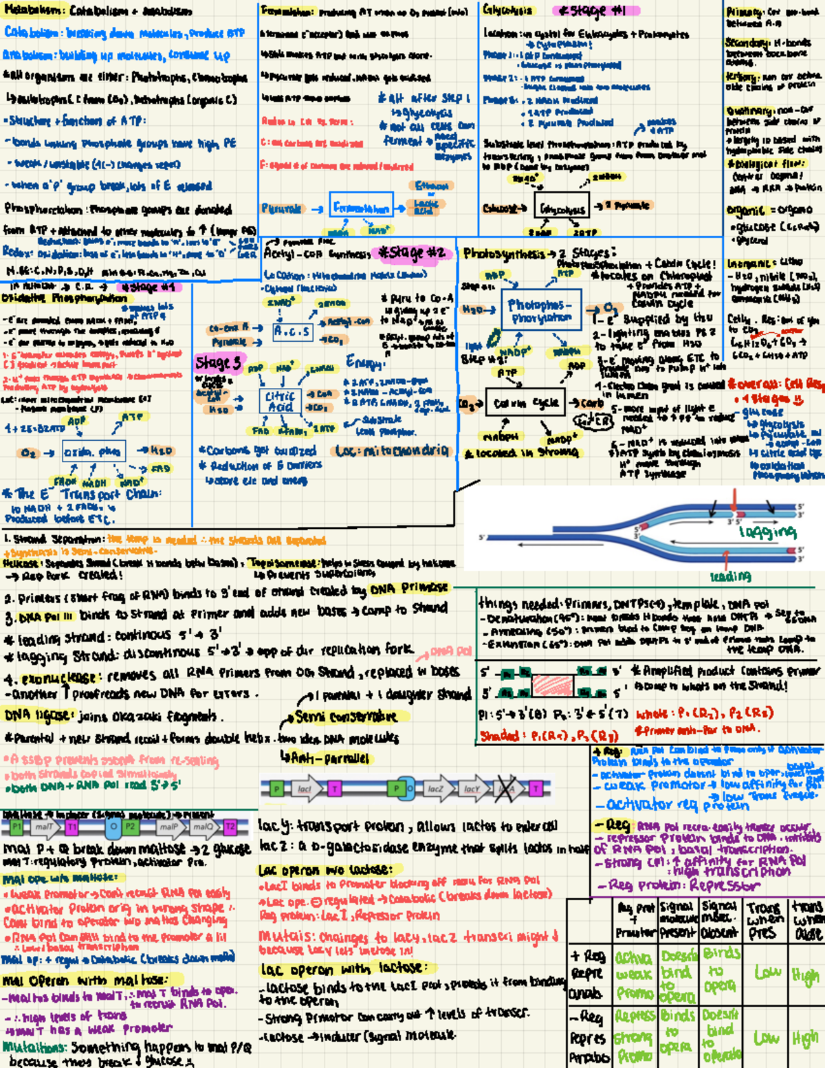 Cheat cheat - Summary Introduction To Marketing - COMM 296 - Studocu