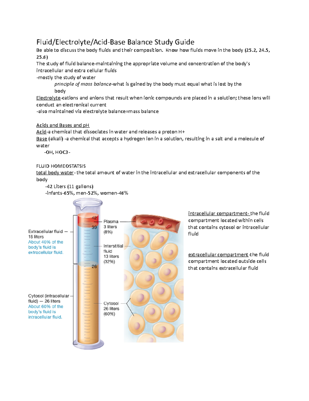 Fluid Homeostasis study guide - Fluid/Electrolyte/Acid-Base Balance ...