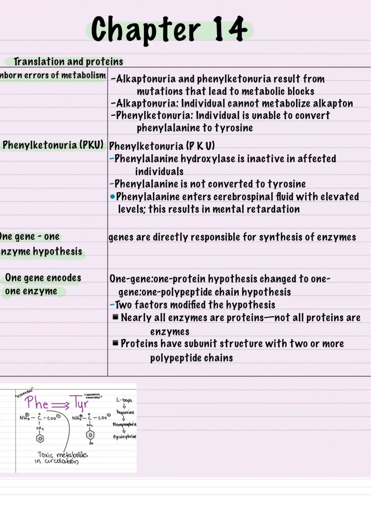 Genetics Chapter 14 Biol 3306 Studocu