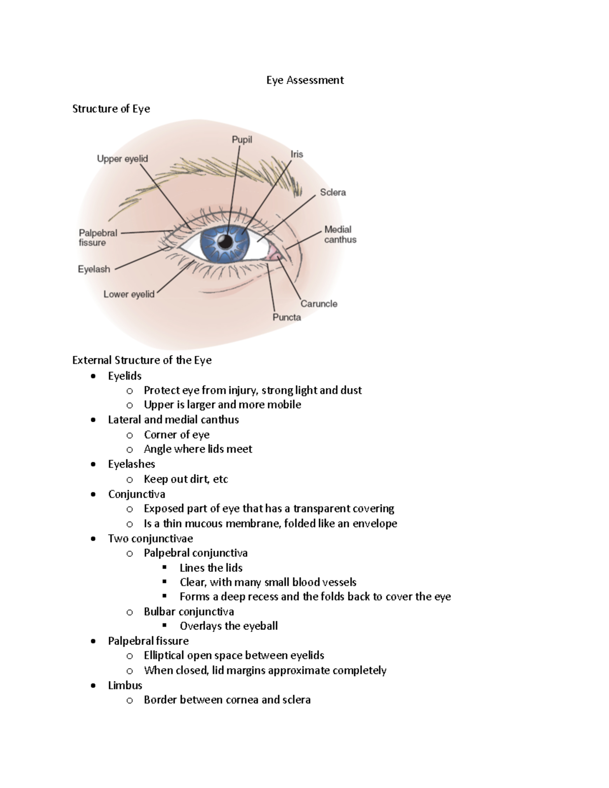 Eye Assessment - Eye Assessment Structure of Eye External Structure of ...