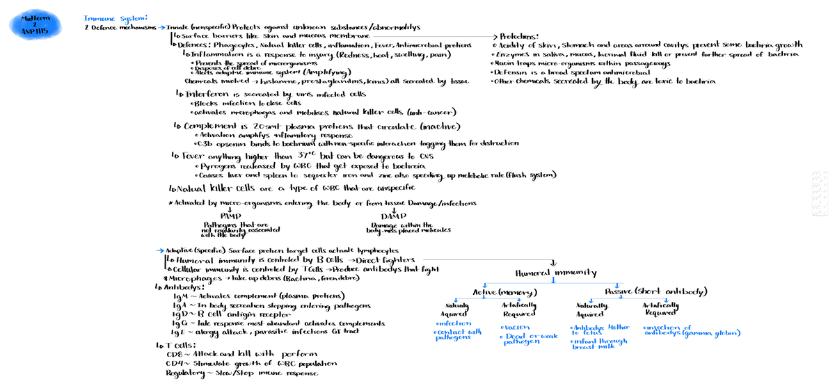 Immune system class notes - ANP1115 - Studocu