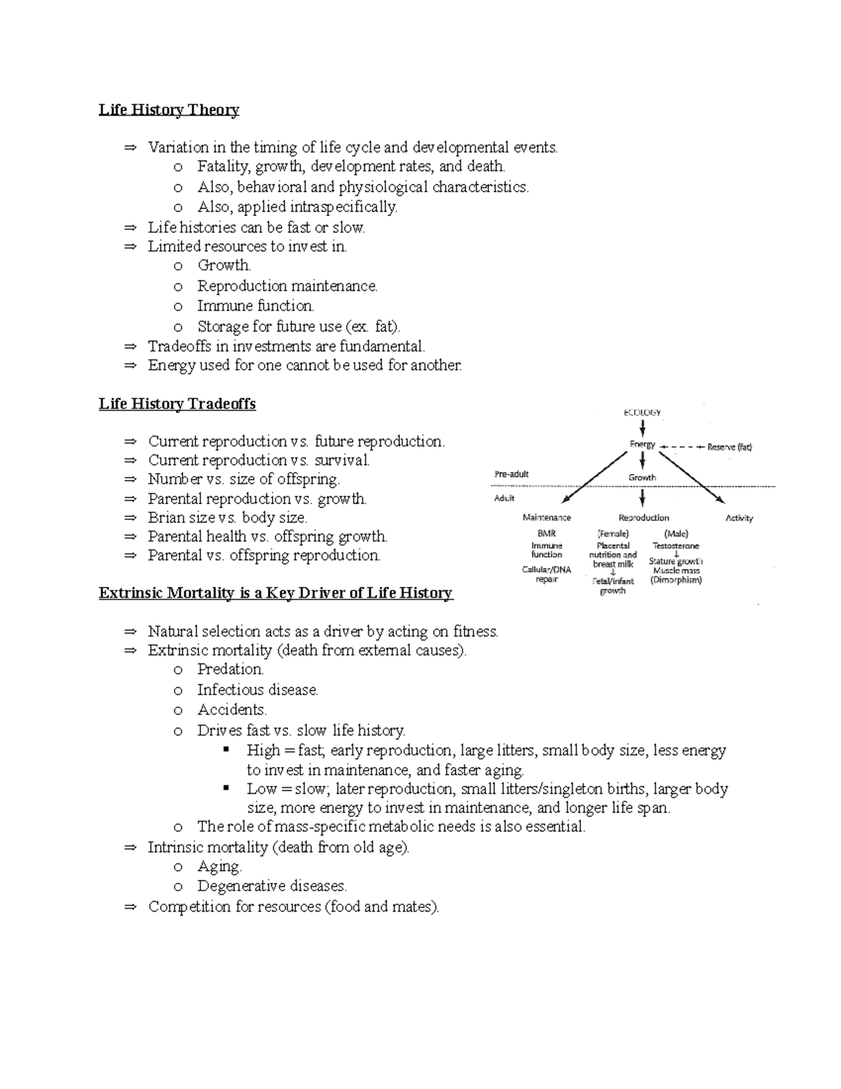 Anth 318 (Life History Theory) - Life History Theory Variation in the ...