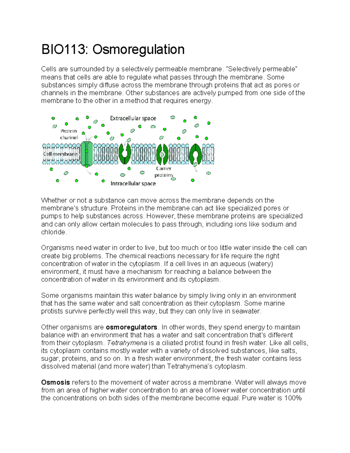 4 BIO113 Osmoregulation - BIO113: Osmoregulation Cells are surrounded by a selectively permeable ...