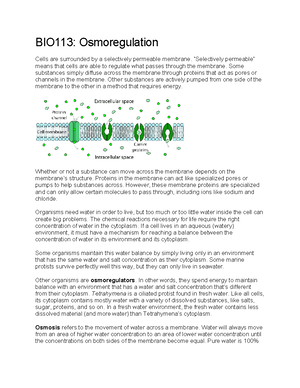 Bio 111 Chapter 9 Biology 2e FA 2023 - Chapter 9 Cell Communication ...