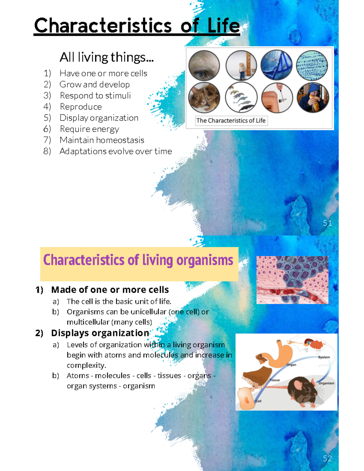 Characteristics Outline Notes - Characteristics of Life All living ...