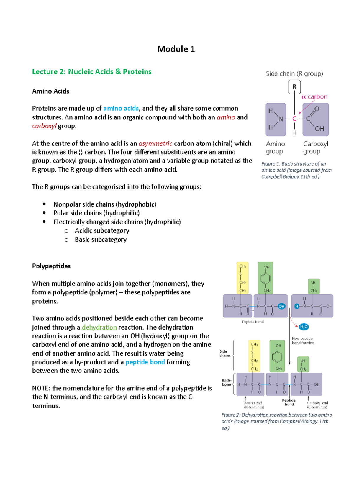 BIOL10009 Module 1 Notes - BIOL10009 - Unimelb - Studocu