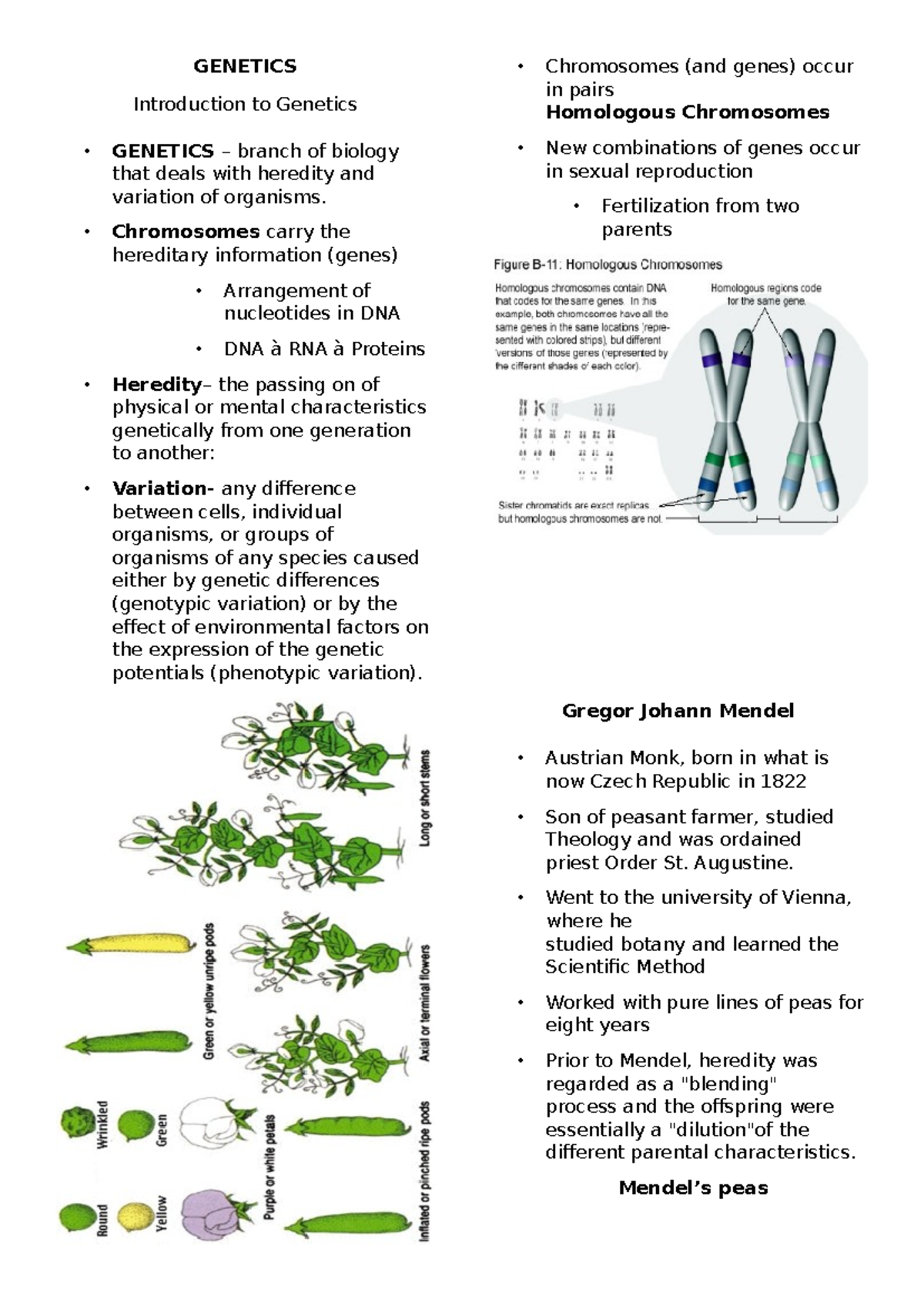 GEN-BIO- Complt - reviewer - GENETICS Introduction to Genetics ...