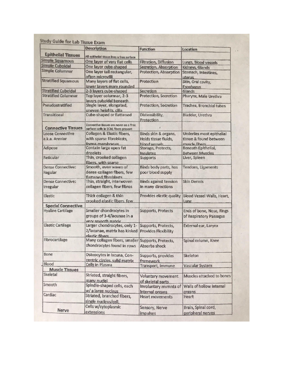 Tissue Lab Exam List - APHY101 - Studocu