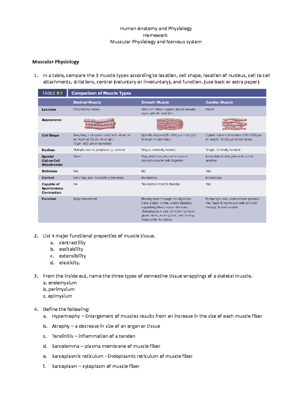 Anaphy Assignment muscular and nervous - answer - Human Anatomy and ...